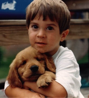 Goldiva Golden Retriever Puppies