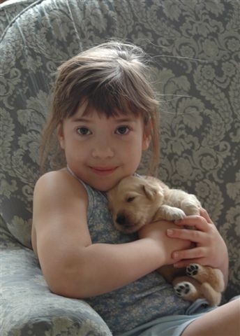 Goldiva Golden Retriever Puppies