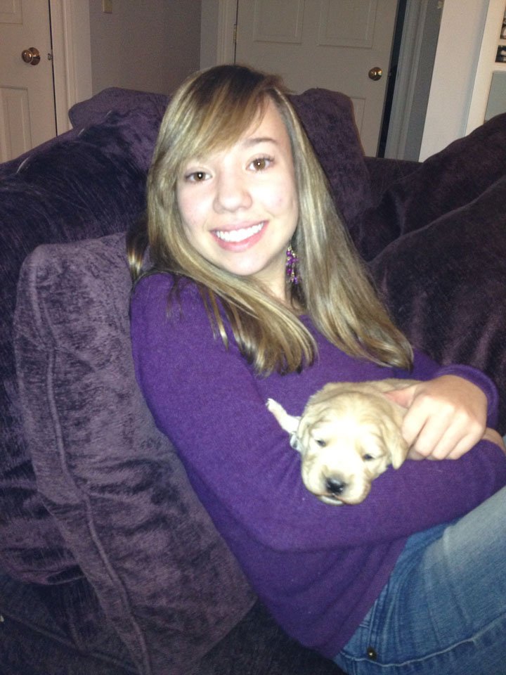 Goldiva Golden Retriever Puppies