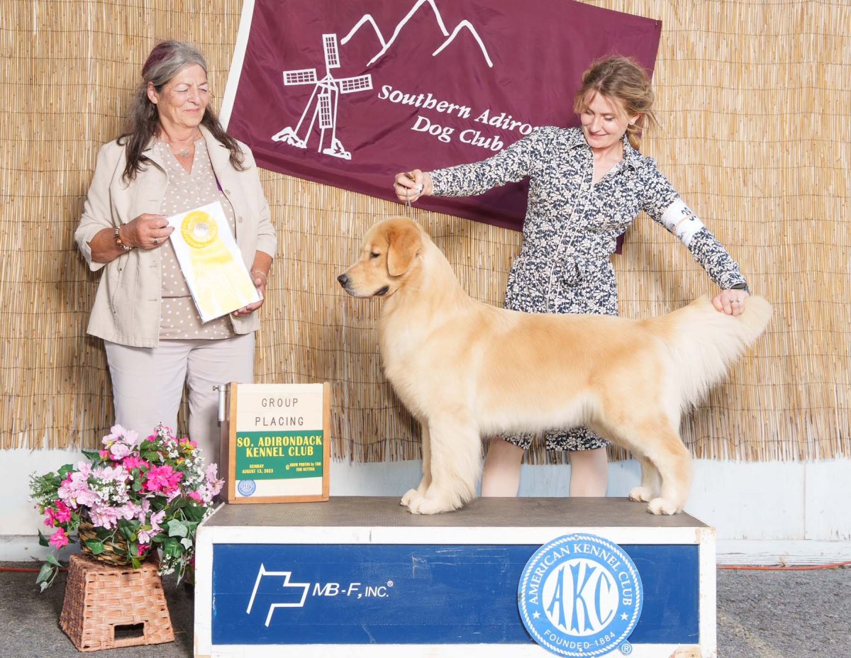 Geti makes Top 20 Goldens in the US!!