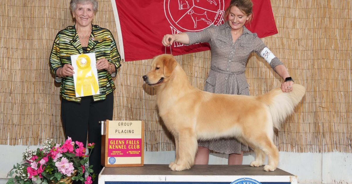 Geti makes Top 20 Goldens in the US!!