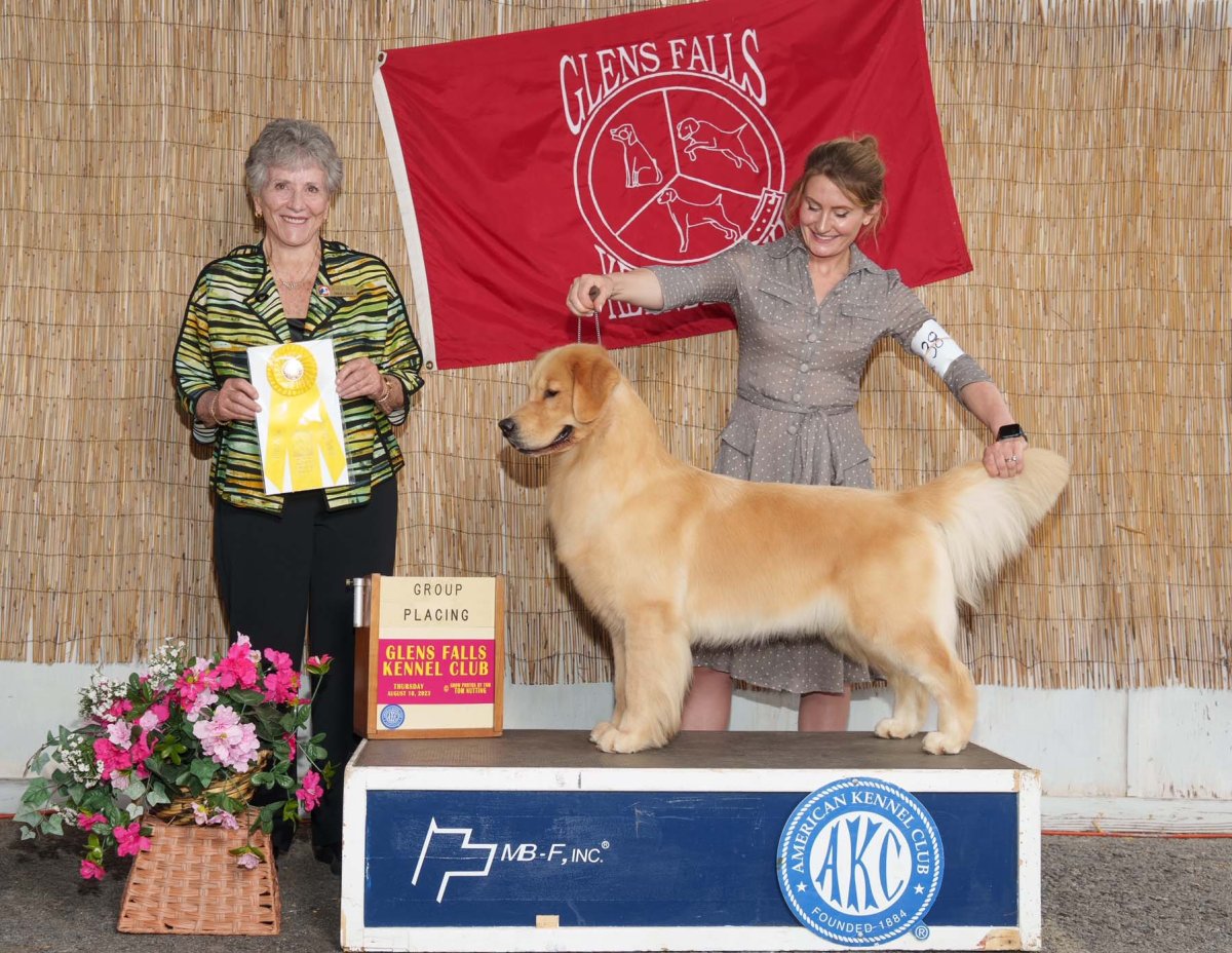 Geti makes Top 20 Goldens in the US!!