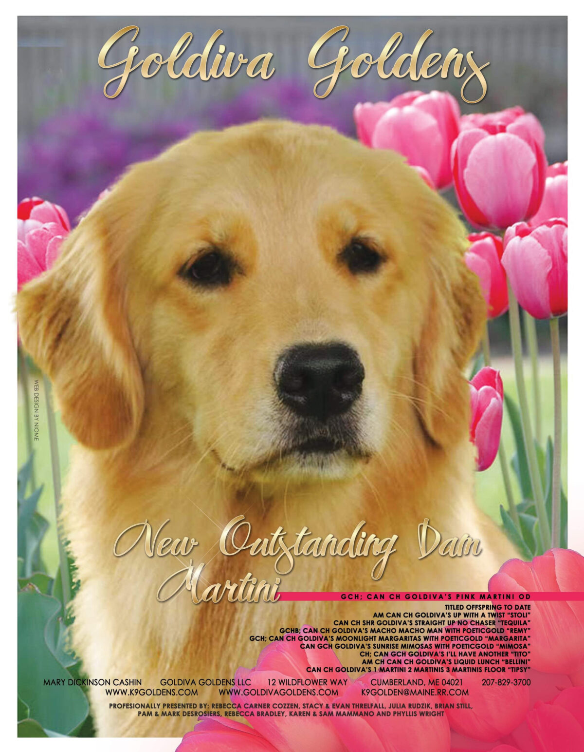 Mary’s Girls – Goldiva Goldens, LLC